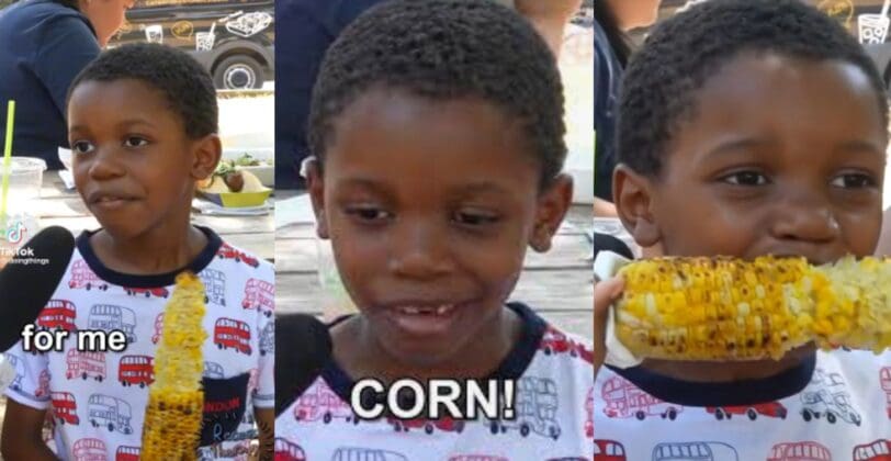 Corn Dishes Even the 'Corn Kid' Would Approve Of (Recipes Included) - Apple Eats